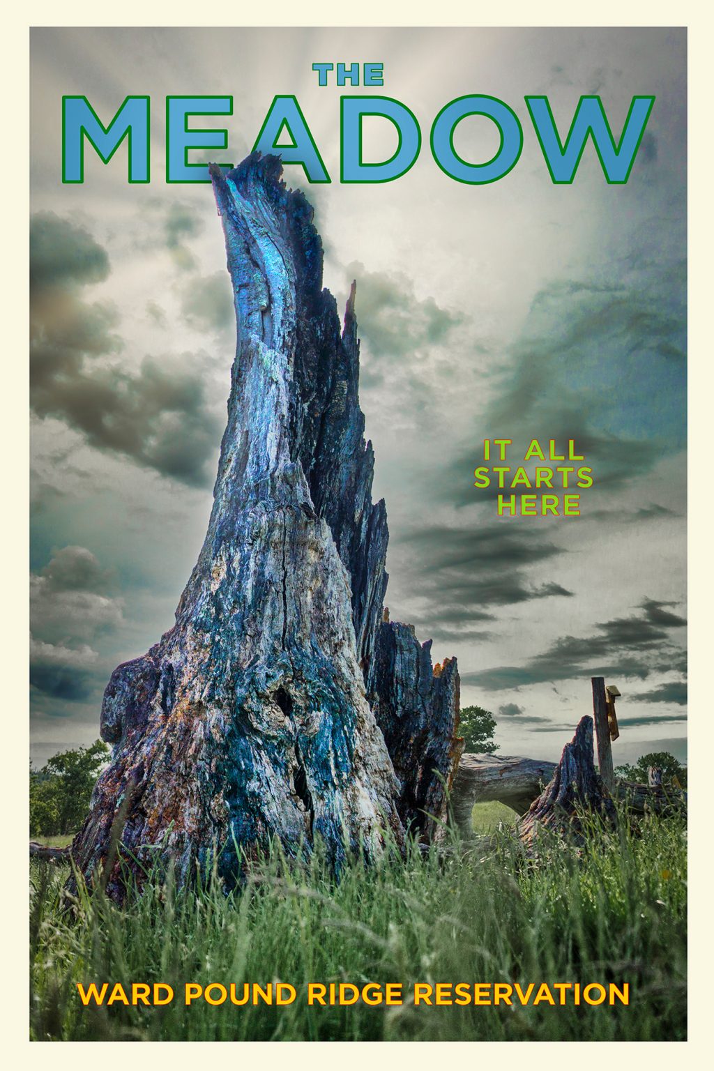 The Meadow – Lee Willett