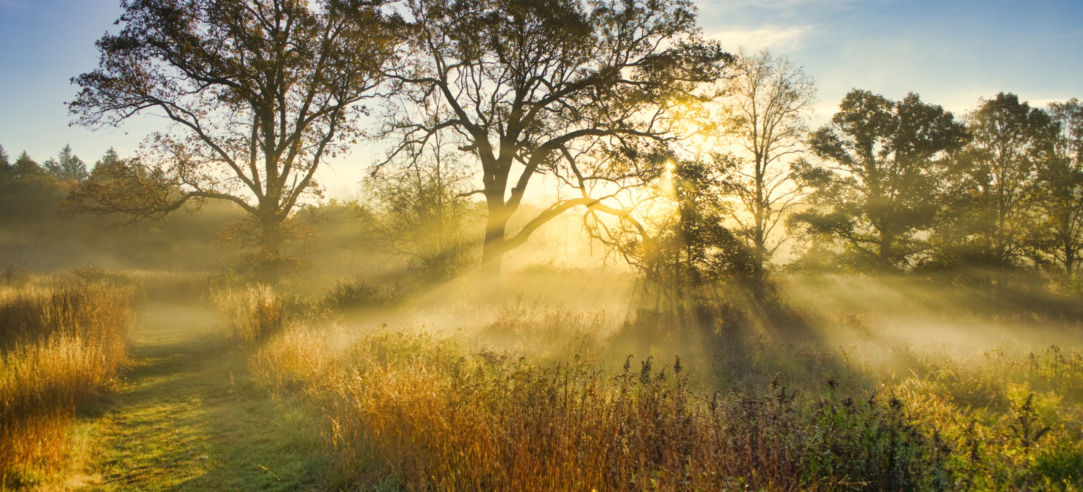 Dawn II – Lee Willett